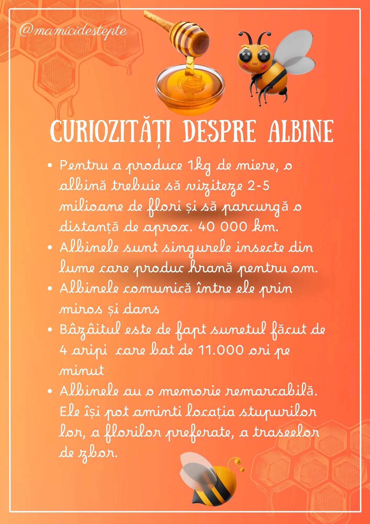 Fișe despre albine – download gratuit - Mămici deștepte